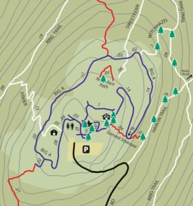 🌲 Explore Mount Agamenticus: A Coastal Gem in Southern Maine ...